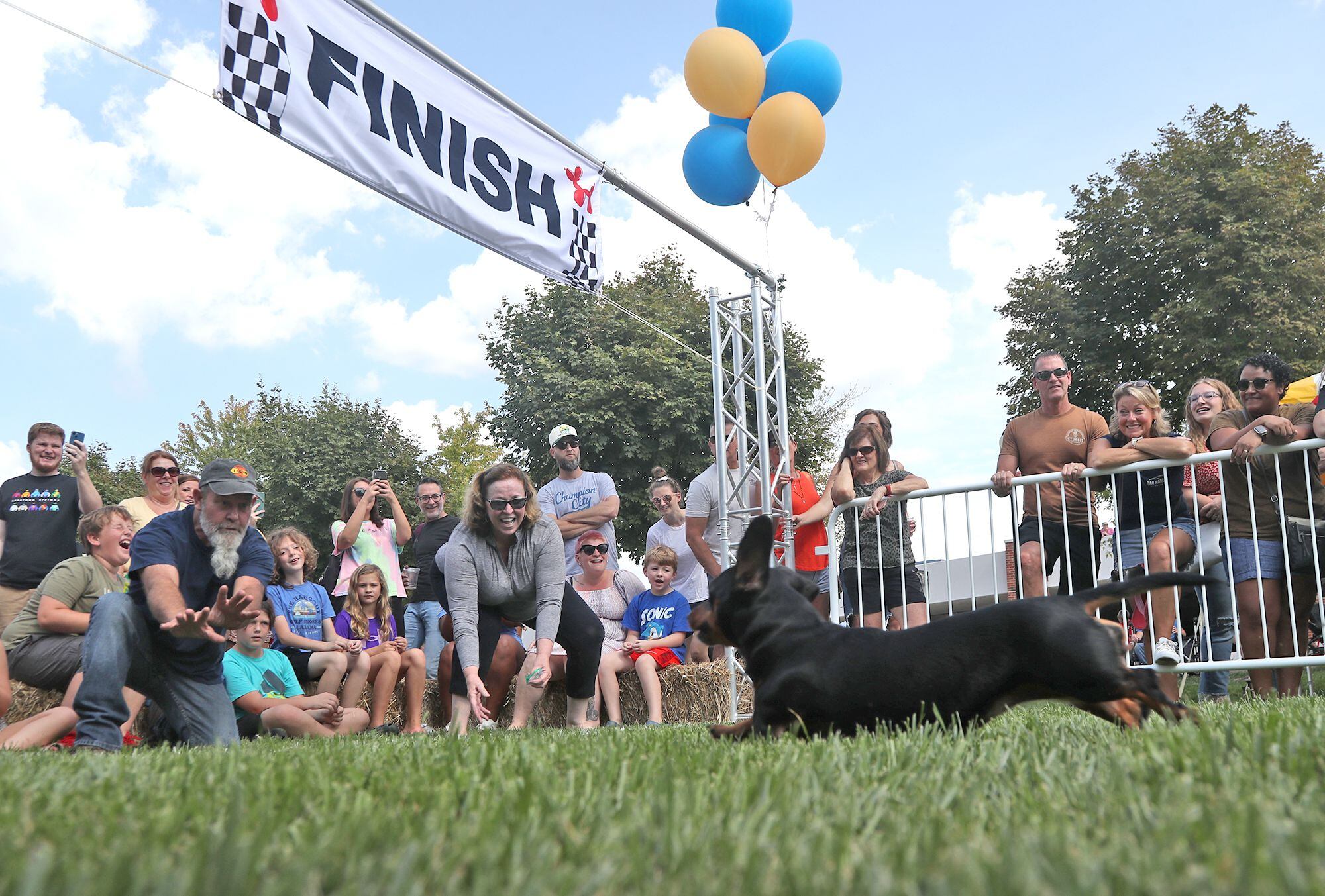 Wiener Dog Nationals 2022